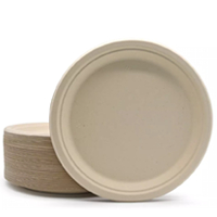 Leading bagasse tableware factory in China-GangXuan