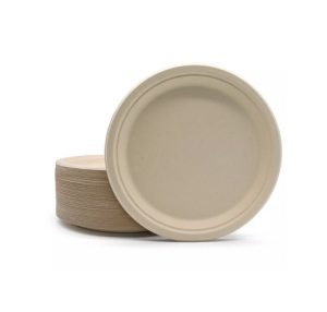 Leading Bagasse Tableware Manufacturer in China-GangXuan