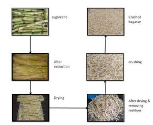 #1 Bagasse Tray Supplier In China-GangXuan