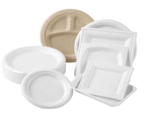 What is Bagasse Plates? A Comprehensive Guide - GangXuan