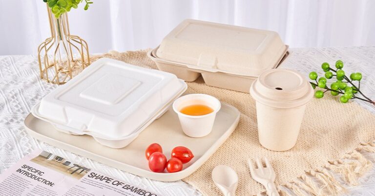 Bagasse Products 101 - GangXuan