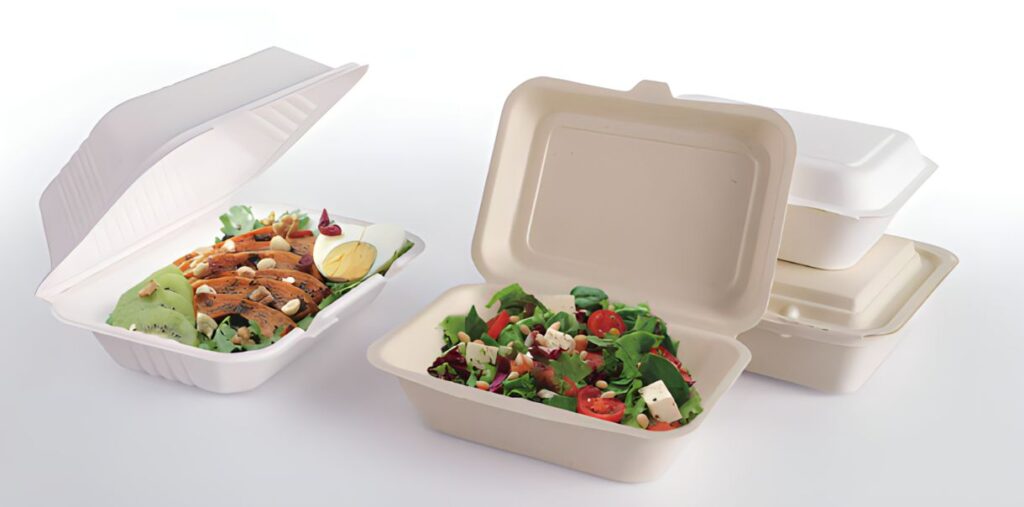 A closer look at different types of bagasse clamshells options