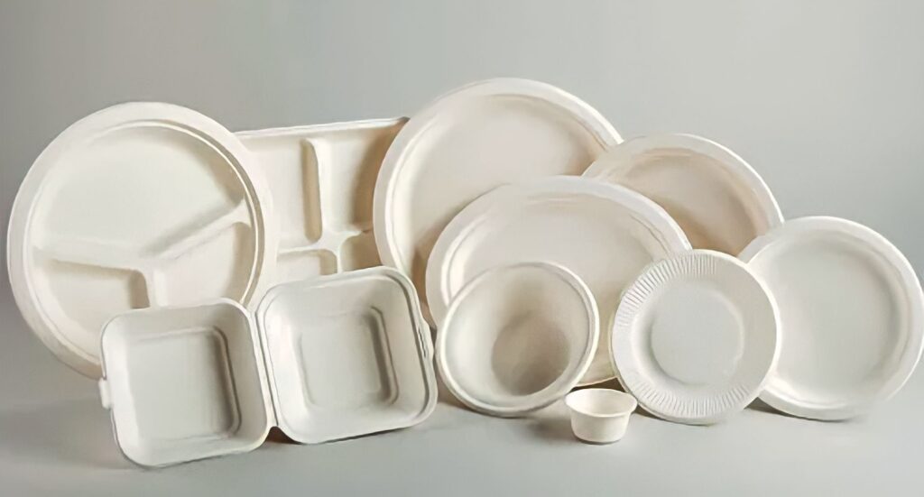 Explore the Types of Bagasse Plates