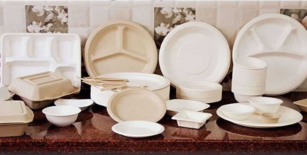 Explore the Types of Bagasse Plates
